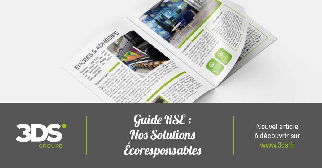 Guide RSE - 3DS Groupe